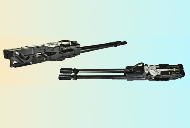 Combat System - LEOTAUR International